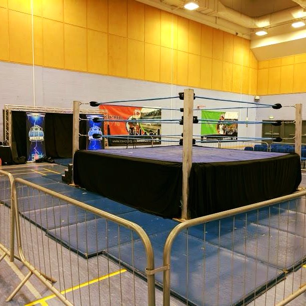 Only Pro Chat-Wrestling - ChatFighters