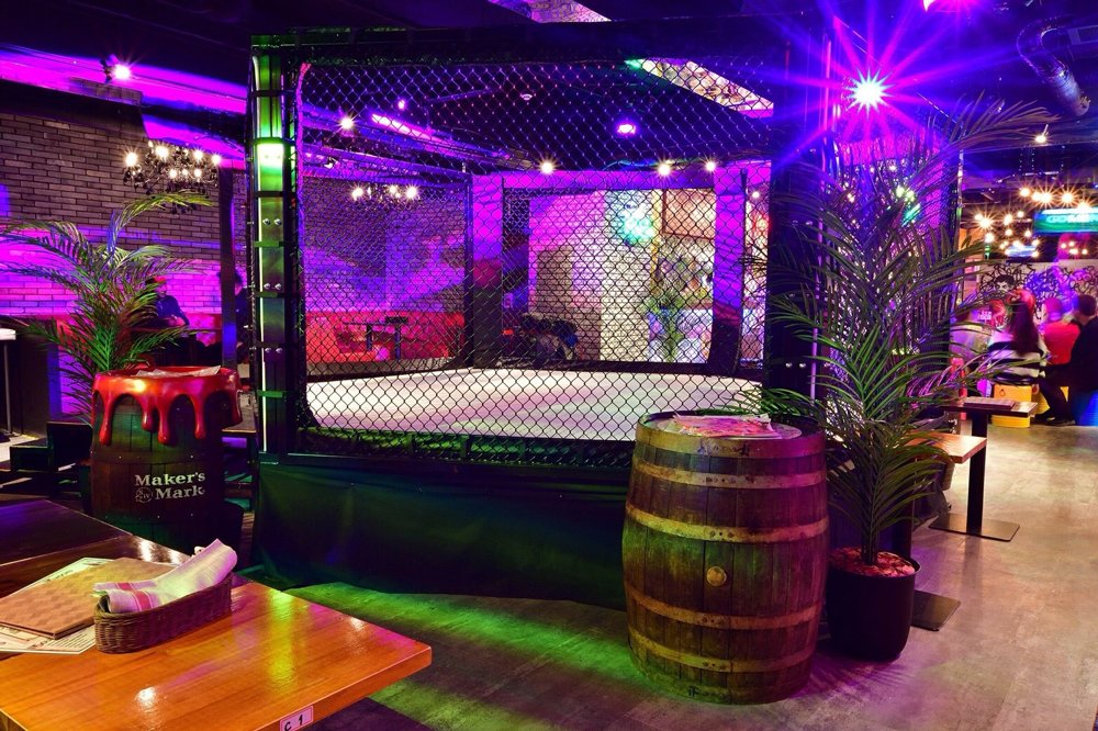Only Pro Chat-Wrestling - ChatFighters